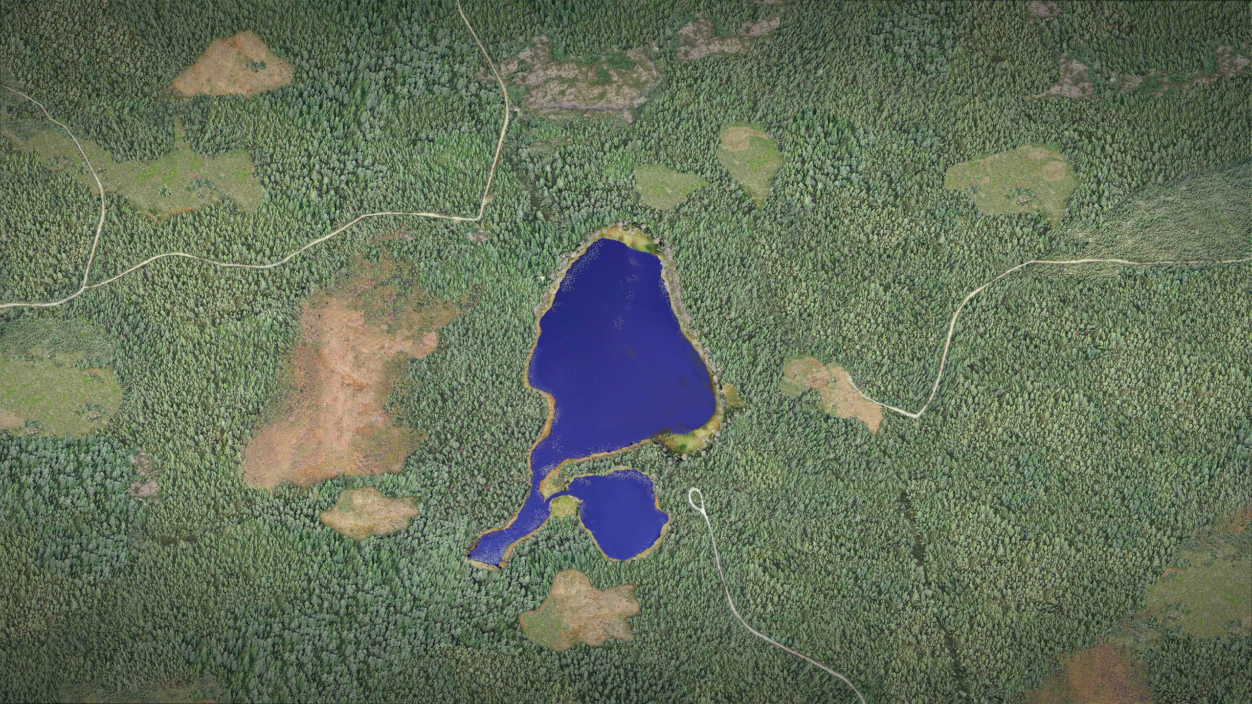 Map - UPM Forest Life