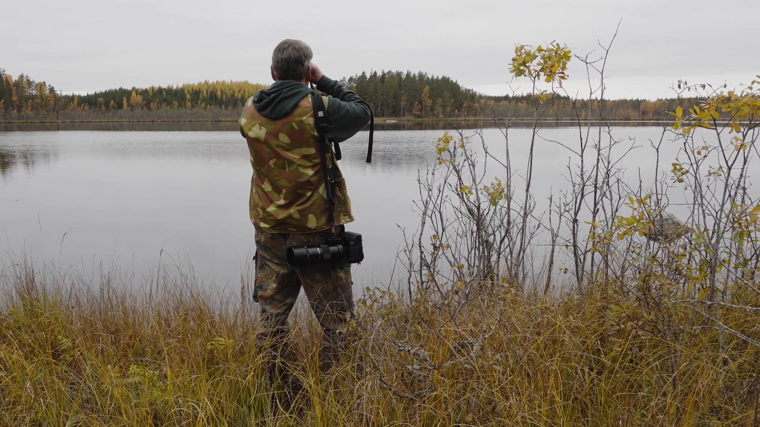 Bird watching - Multiple use of forests - UPM Forest Life